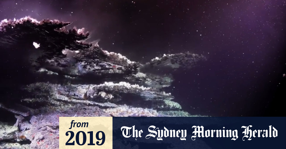 Video Scientists Make Incredible Discovery